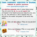 Using Spanish Possessive Adjectives in Sentences - Spanish Learning Lab