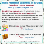 Using Spanish Possessive Adjectives in Sentences - Spanish Learning Lab