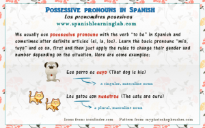 Spanish Possessive Pronouns: Chart & Sentences - SpanishLearningLab