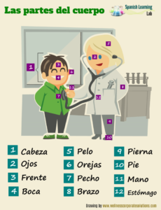 Talking about Body Parts in Spanish (with listening practice) - Spanish ...