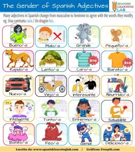 How to Make Adjectives Agree with Nouns in Spanish - Spanish Learning Lab