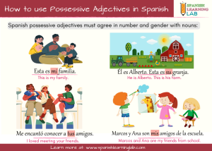 Using Spanish Possessive Adjectives in Sentences - Spanish Learning Lab