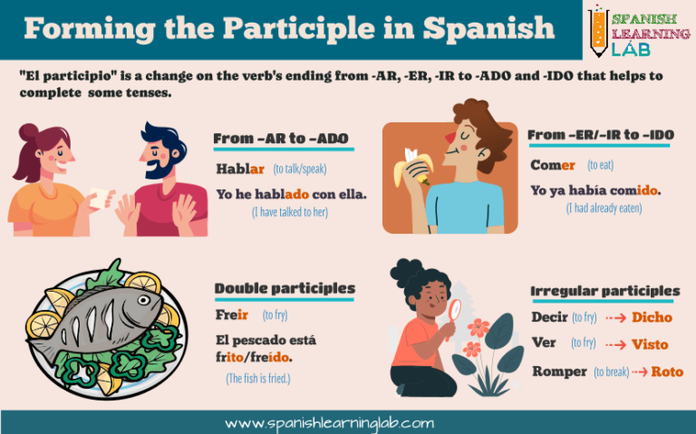 Forming the Past Participle in Spanish: examples & exercises - Spanish ...