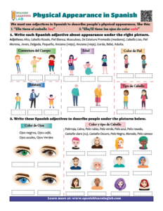 Physical Appearance in Spanish - PDF Worksheet - Spanish Learning Lab